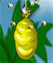 Bee Boxing - online hra zdarma